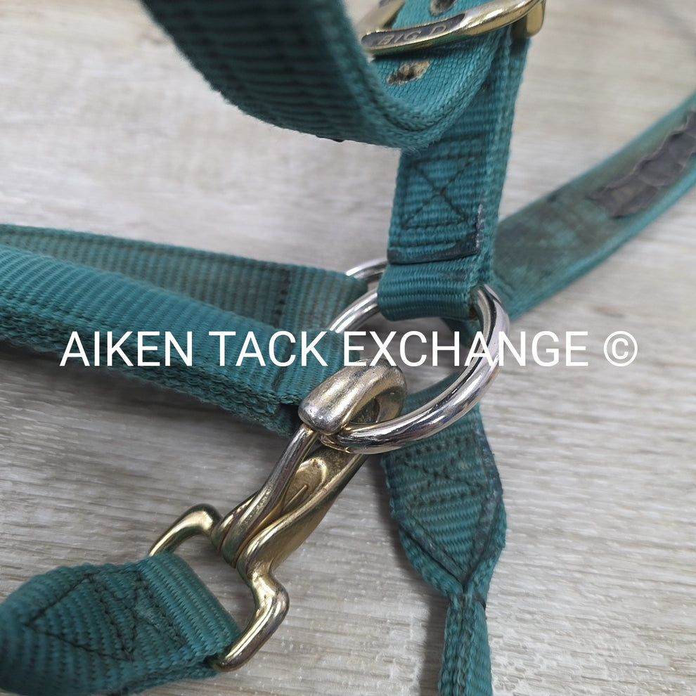 Big D Nylon Halter, Size Full – Aiken Tack Exchange