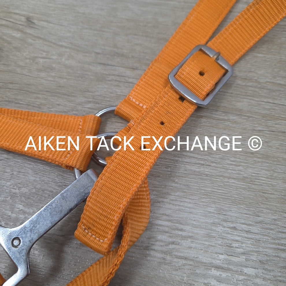 Nylon Halter, Size Full – Aiken Tack Exchange