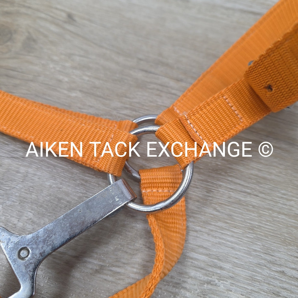 Nylon Halter, Size Full – Aiken Tack Exchange