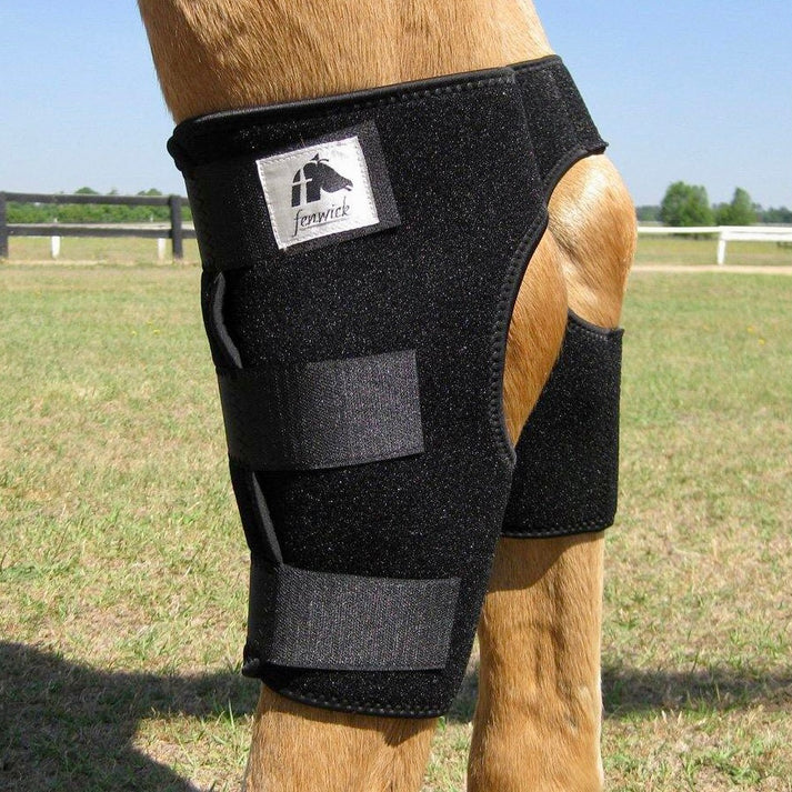 Fenwick Liquid Titanium LT Hock Boots – Aiken Tack Exchange